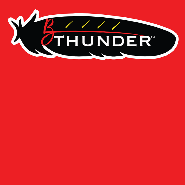 Accessories – BThunder